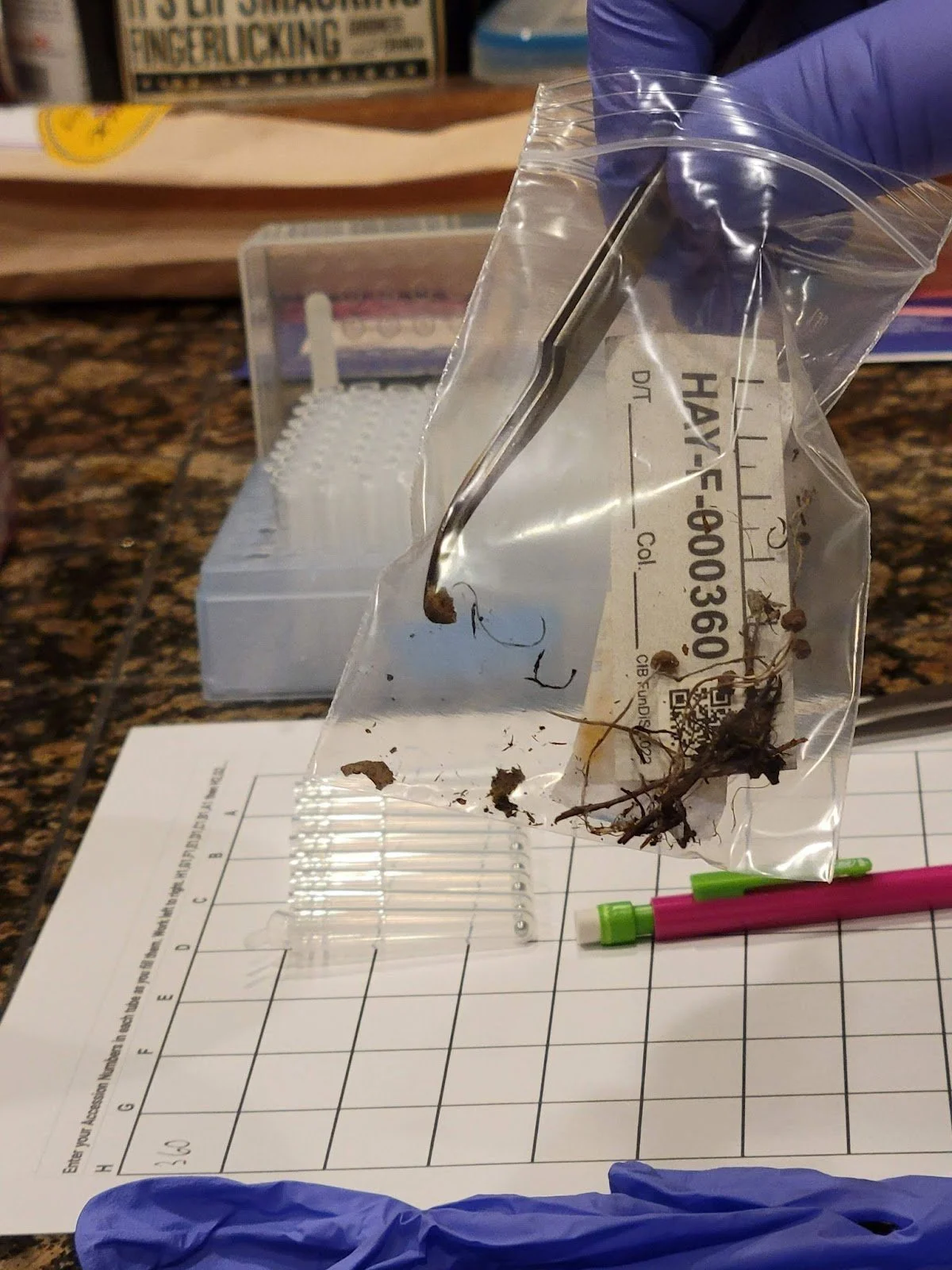 Prepare Fungal Specimens for DNA Sequencing — Fungal Diversity Survey