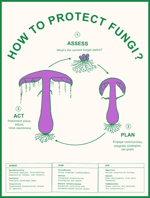 Protecting Fungi — Fungal Diversity Survey