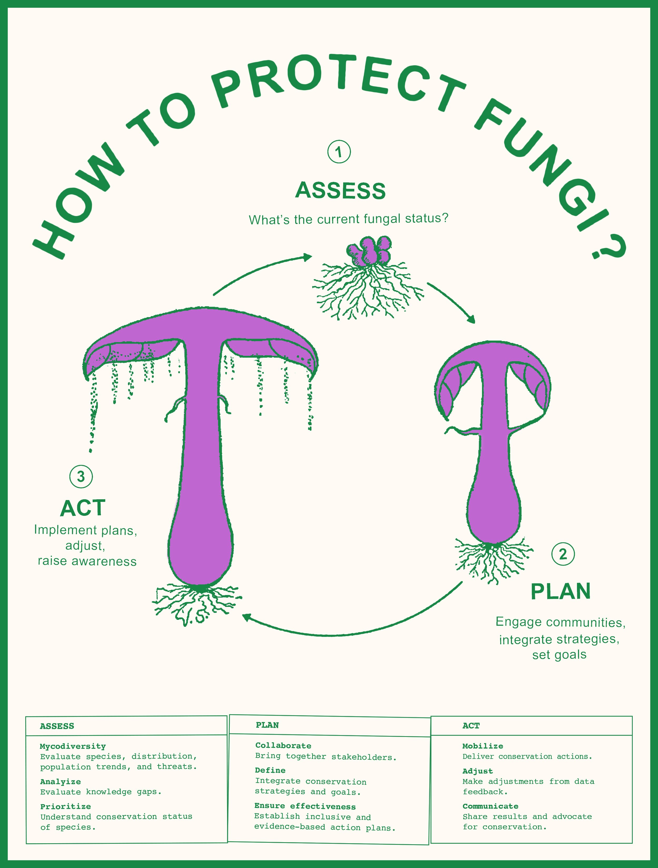 Protecting Fungi — Fungal Diversity Survey