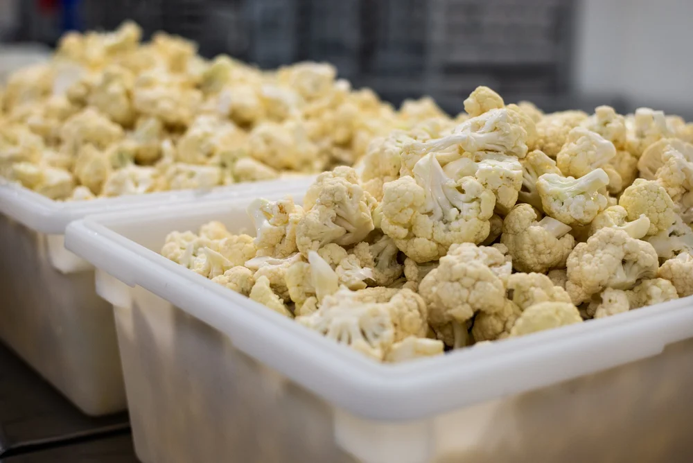 Vegetarian and Vegan Co-Manufacturing | Mosaic Foods