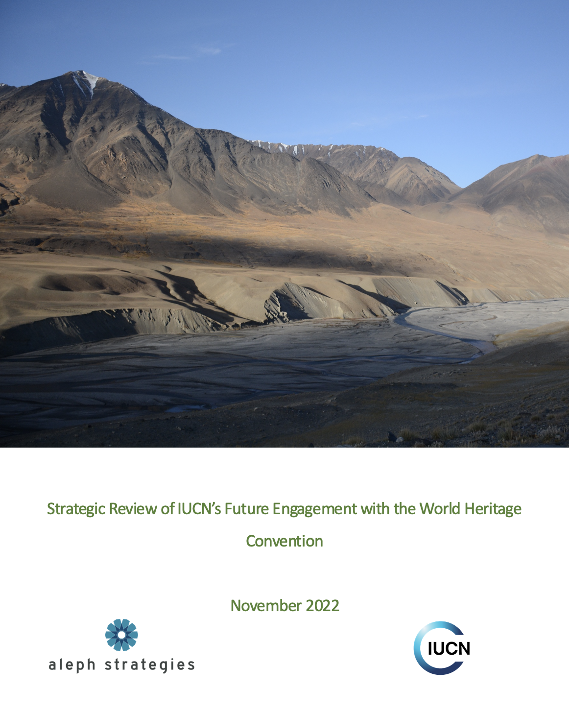 International Development Projects — Aleph