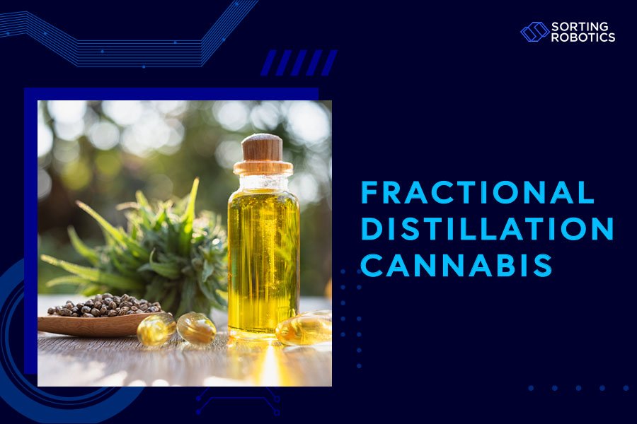 The Grind - Cannabis Industry Blog — Sorting Robotics Inc. | Automation and Robotics