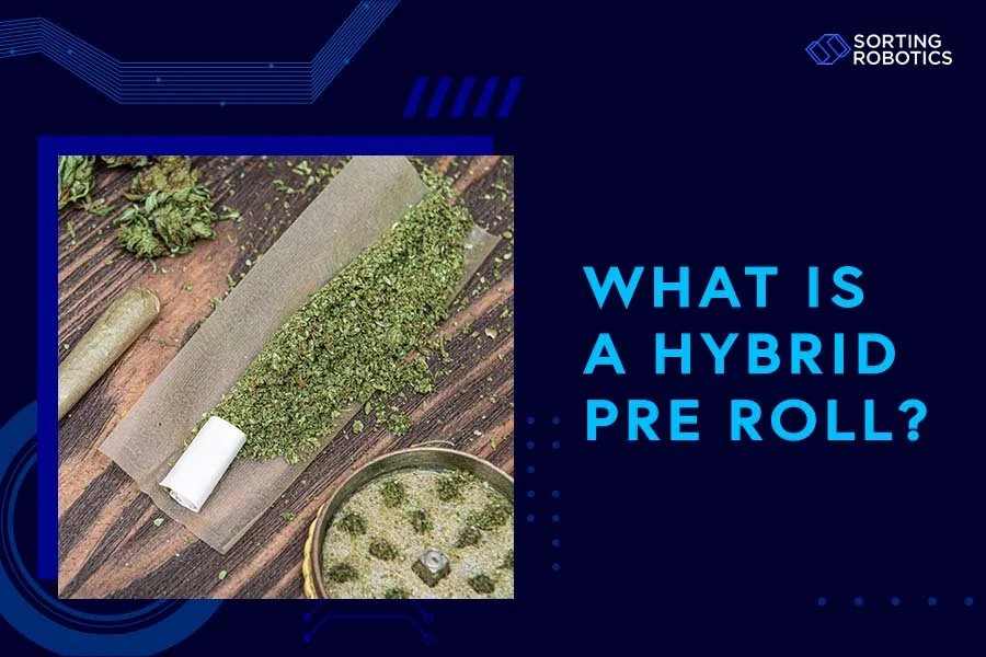 The Grind - Cannabis Industry Blog