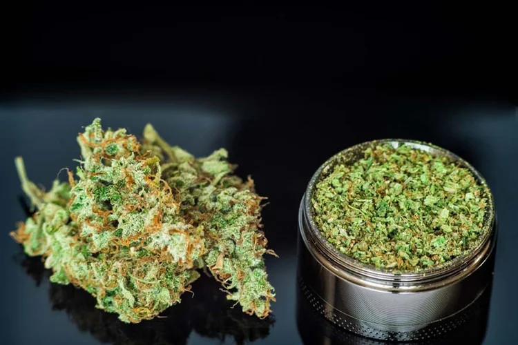 Top 6 Best Kief Strains: Enjoy Maximum Potency and Flavor