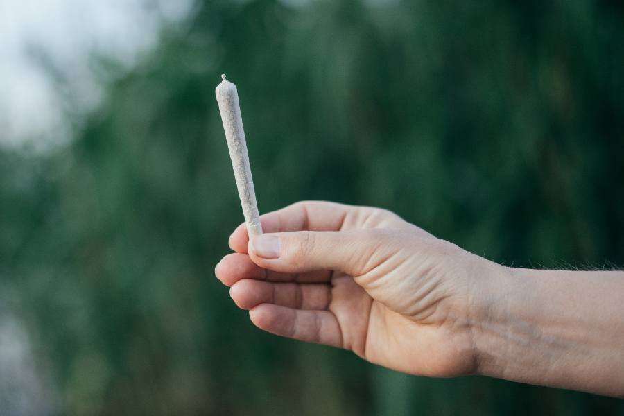 What Is an Infused Pre-Roll? - Types and Benefits