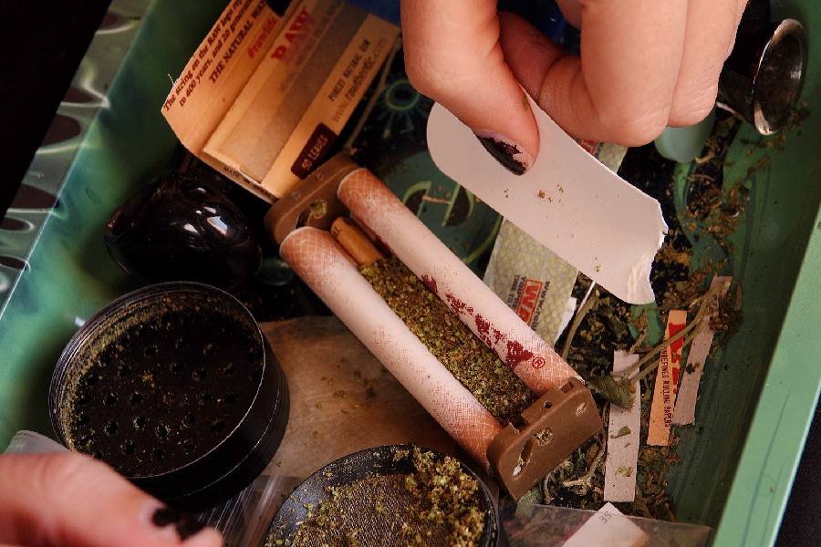 How Much Weed in Rolling Machine? - Roll The Perfect Joint