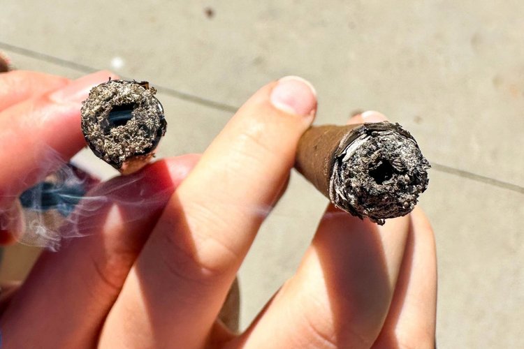 Automated Pre-Roll Infusion Machine for Rosin Hash Holes + Donut Joints