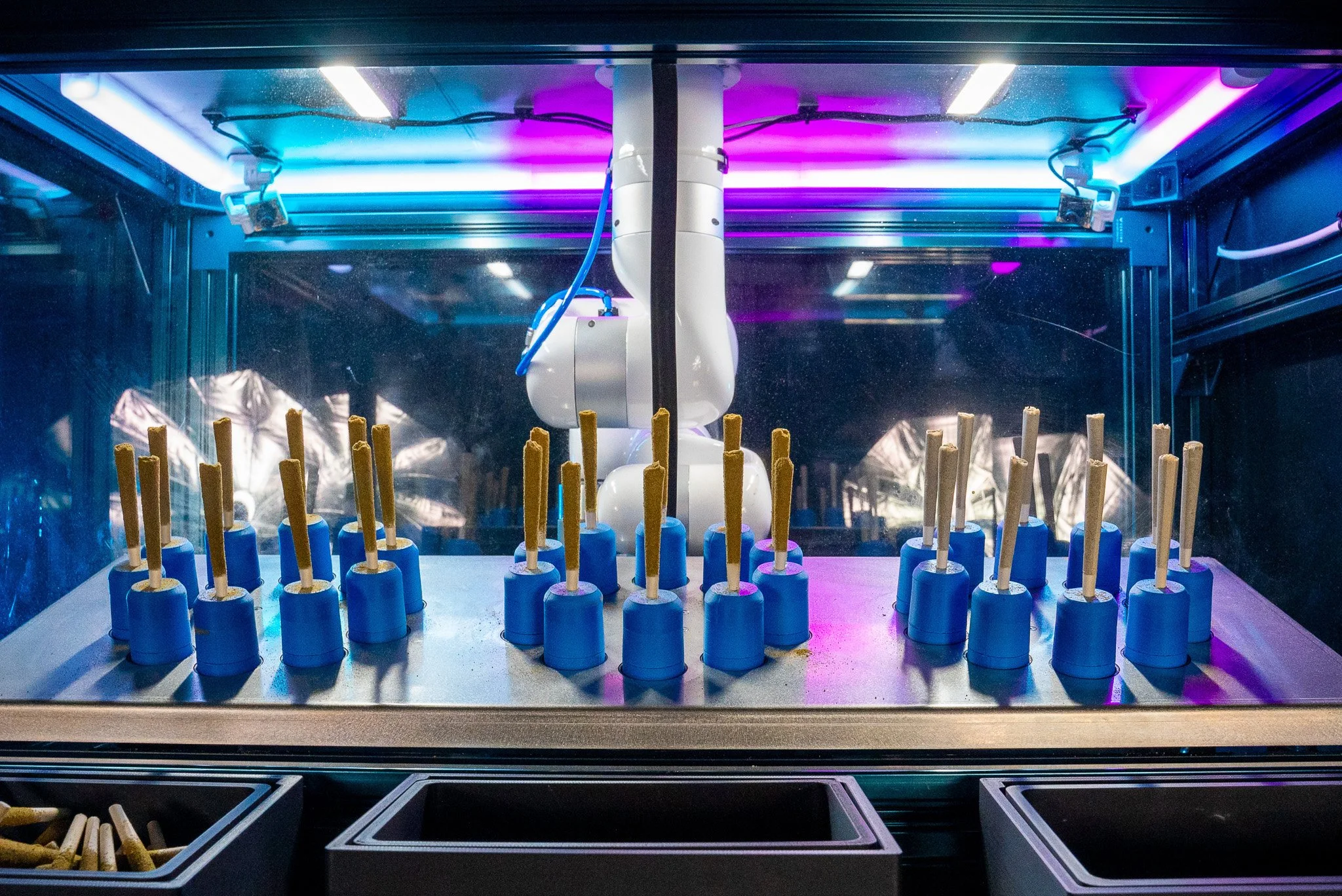 Sorting Robotics: Cannabis Automation & Robotic Sortation (2025)