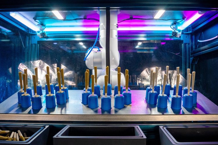 Sorting Robotics | Cannabis Automation & Robotic Sortation