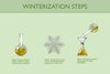 What Is the Winterization Process in Cannabis?