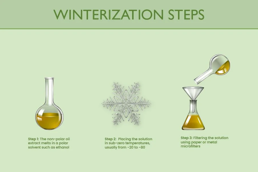 What Is the Winterization Process in Cannabis?