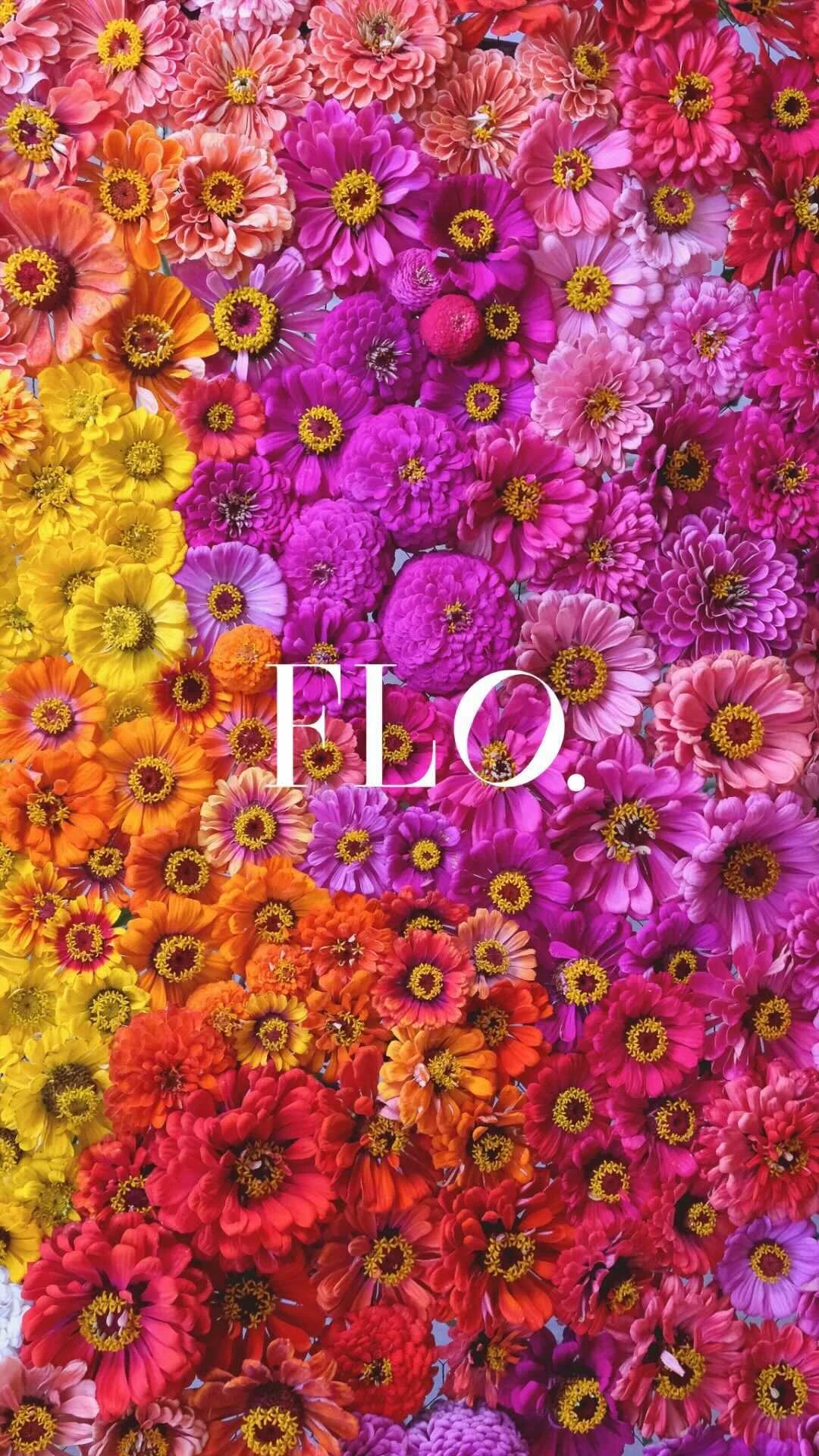 FLO. | The Portuguese Flower Farm for Exclusive Decorations