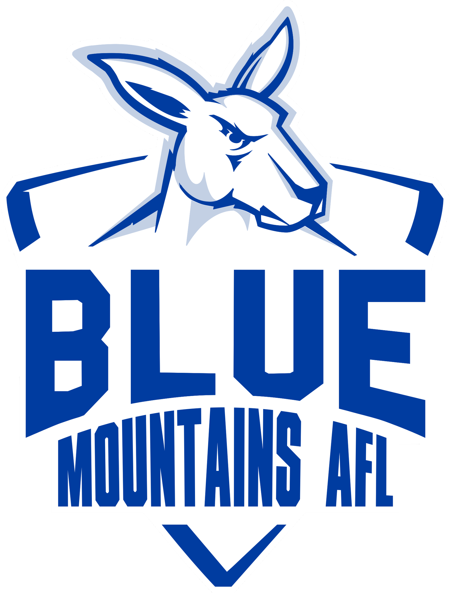 NSW AFL MASTERS