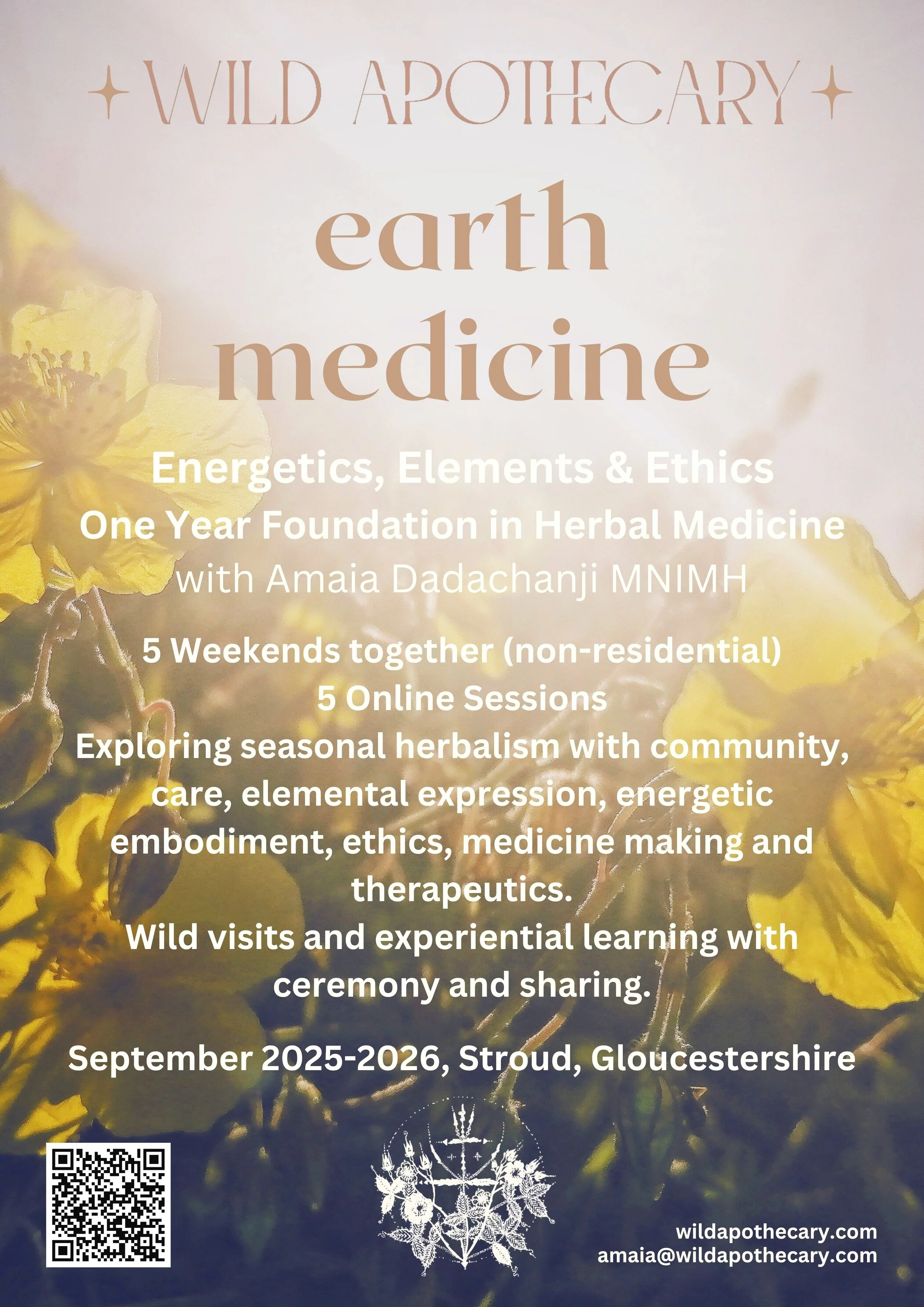 herbal medicine courses stroud — Wild Apothecary