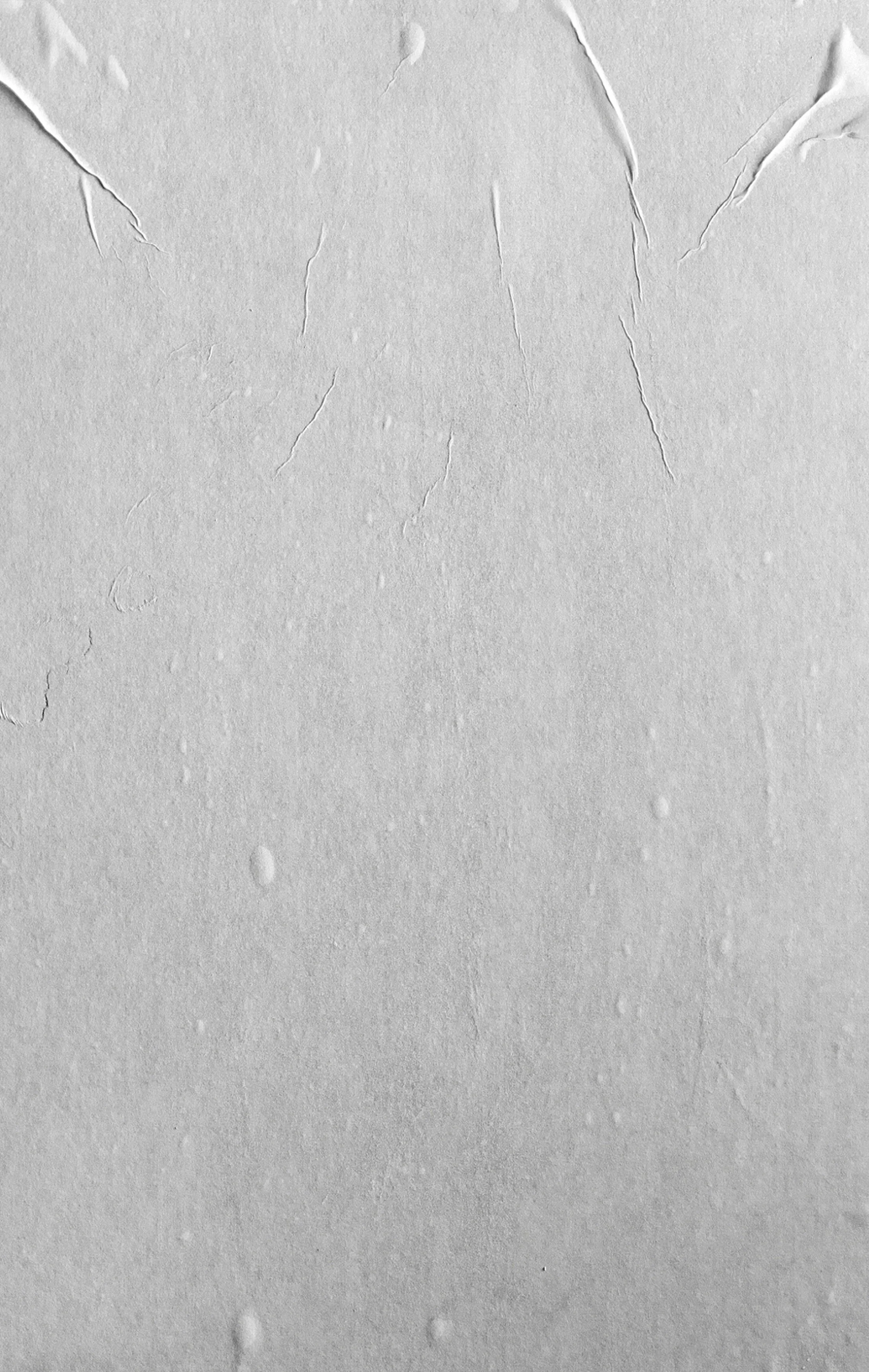 Who is Simon Peter in the Bible? — STREETLIGHTS