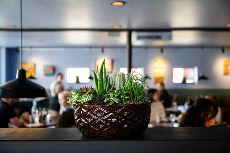Cafe & Bar — Classen Grill