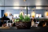 Cafe & Bar — Classen Grill