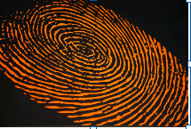 FL Level 2 Background Check DCF, Fingerprinting