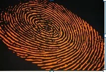 Florida Live Scan Level 2 Fingerprinting and Background Checks