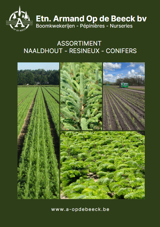 Loofhout — Etn. A. Op de Beeck