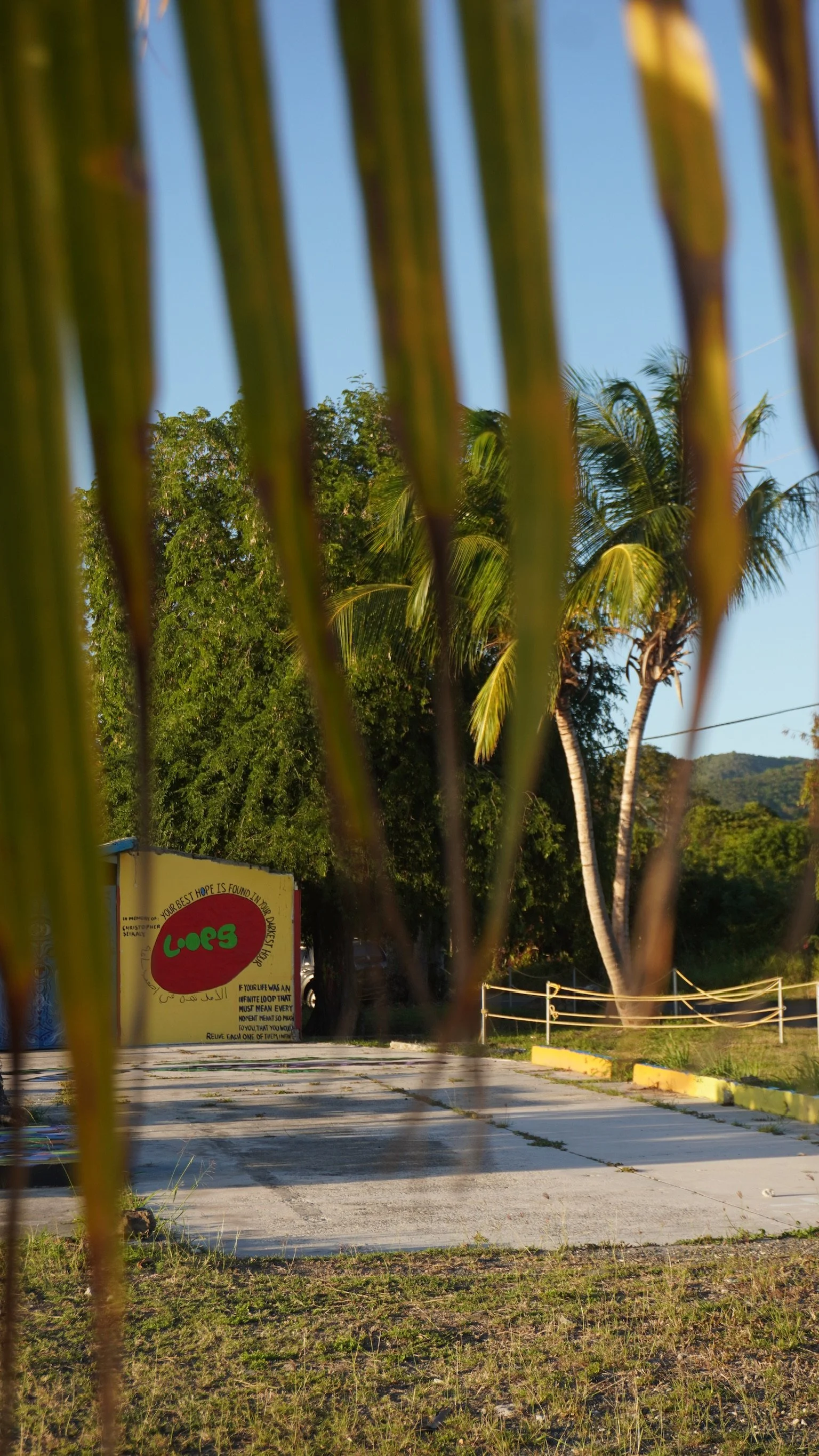 Loops Beach St. Croix — Chris "Loops" Seikaly Foundation
