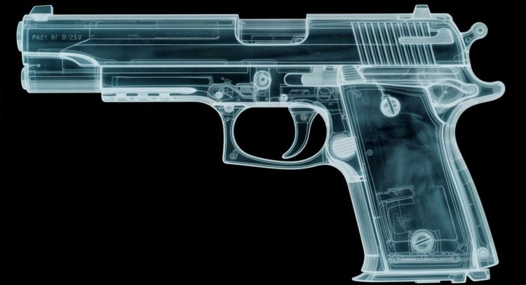 Can Police Detect Guns in Vehicles — Proud Police