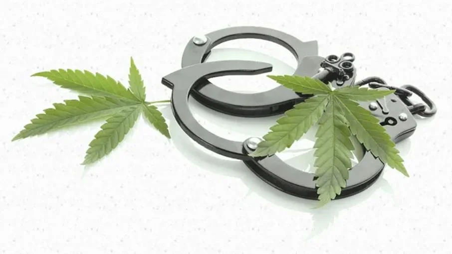 Will the Police do Anything About My Neighbors Smoking Weed? — Proud Police