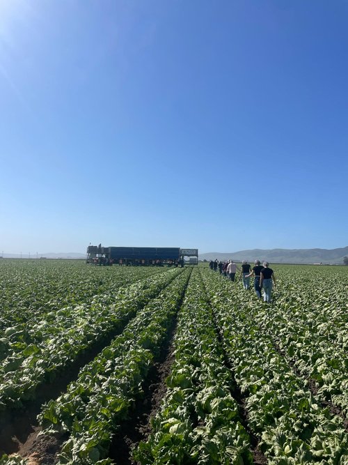 STEM Career Pathways in Ag — SEEAG