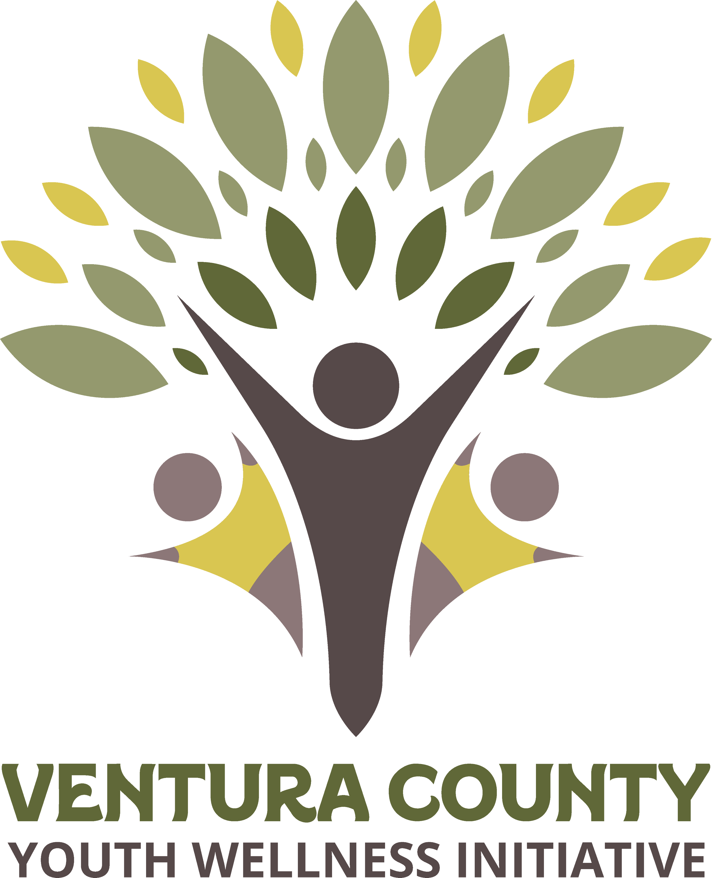 Youth Wellness Initiative — SEEAG