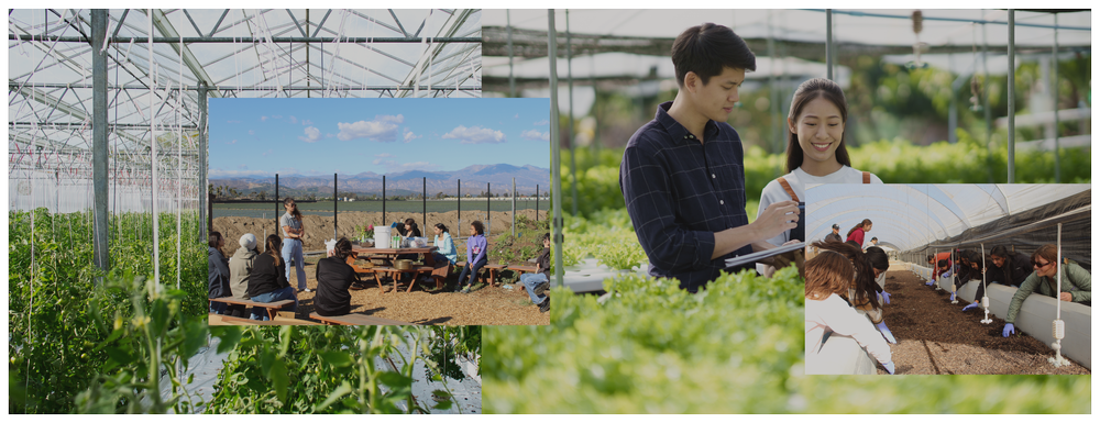 STEM Career Pathways in Ag — SEEAG