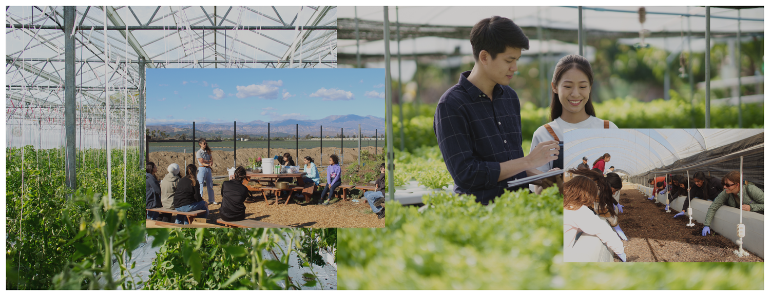 STEM Career Pathways in Ag — SEEAG