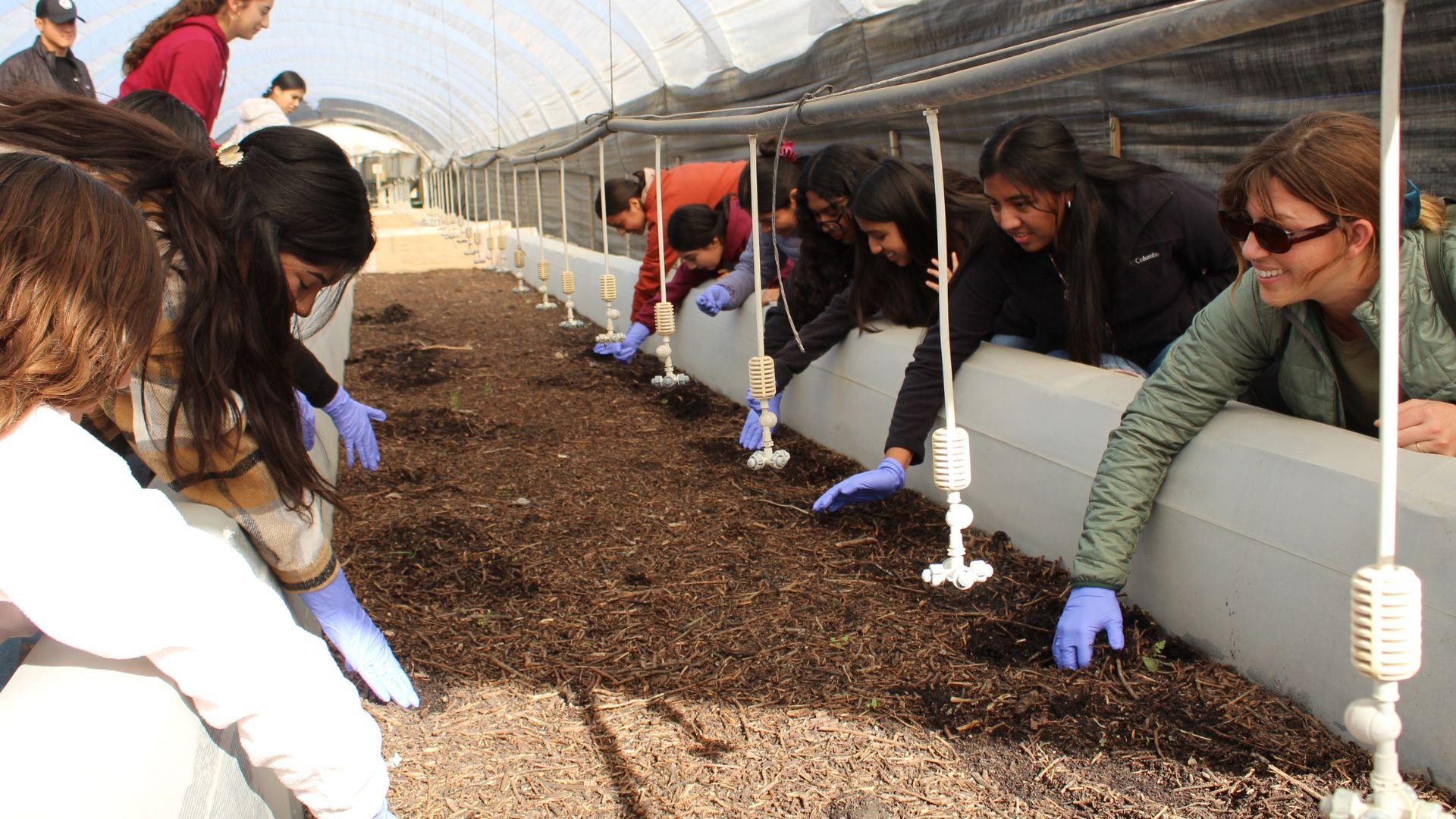 STEM Career Pathways in Ag — SEEAG