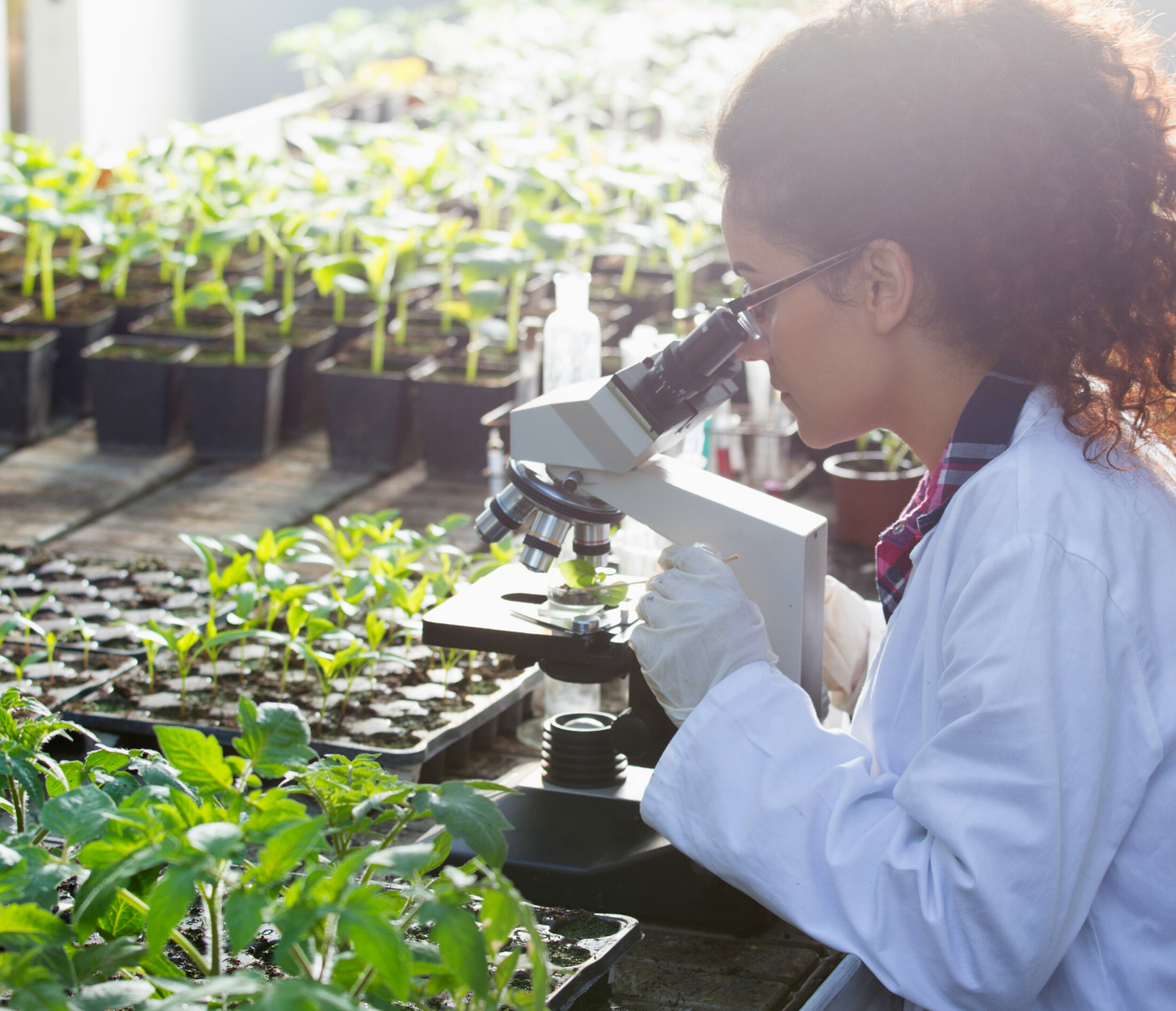 STEM Career Pathways in Ag — SEEAG