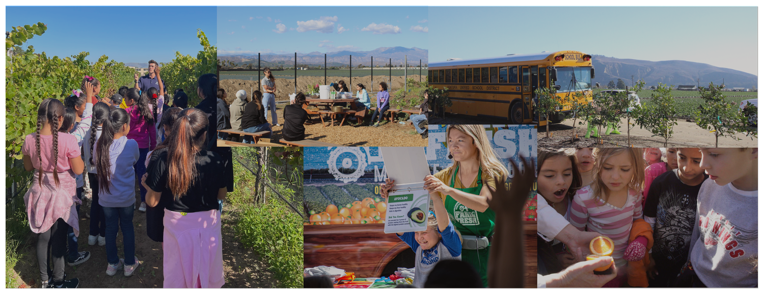 Schedule A Program — SEEAG