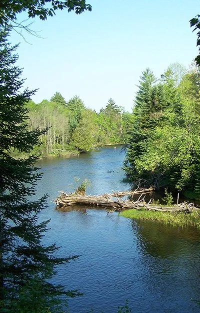 Washington Council of Trout Unlimited