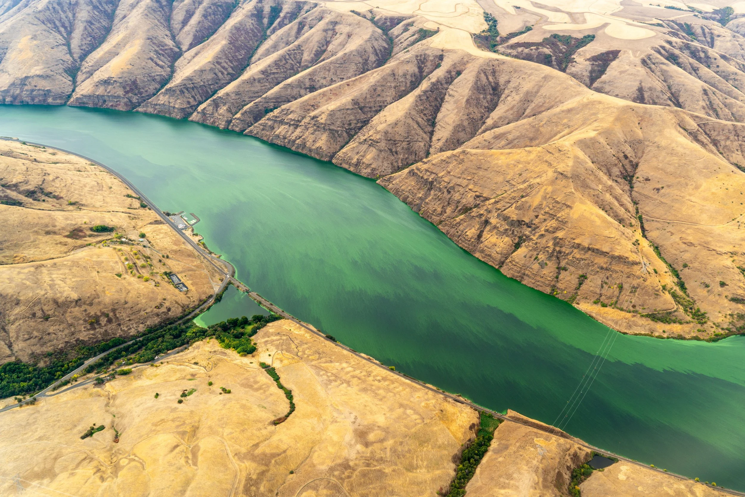 News Report: Snake River Toxic Algal Bloom — Washington Council of ...