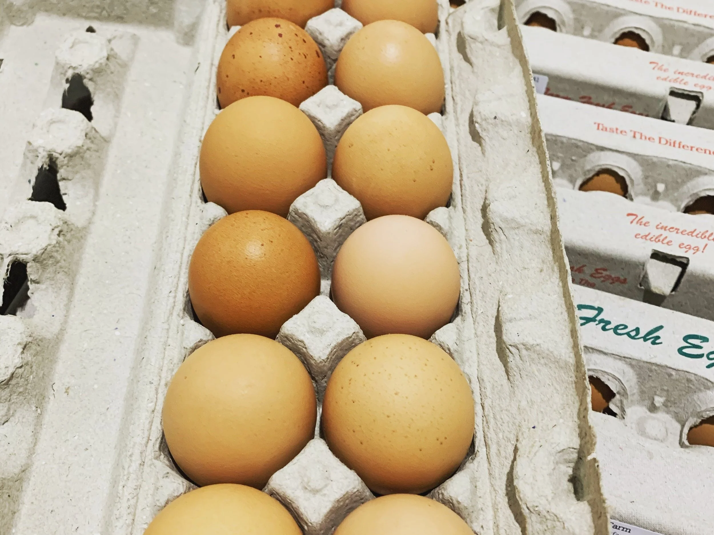 Beef, Poultry, Eggs, and Vegetables | Illinois Family Farm — Bland ...