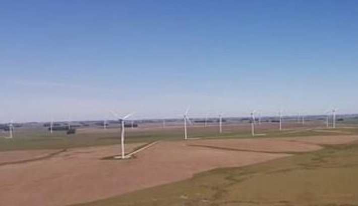 Cutting carbon emissions and caring for our climate — Office Interiors