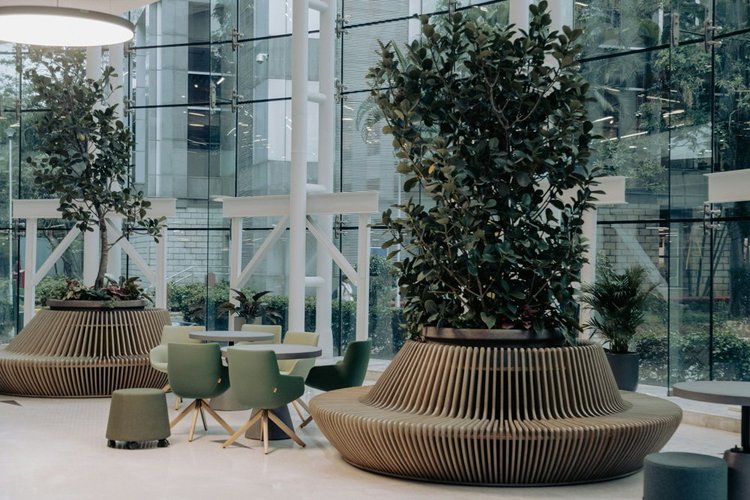 Biophilic Office Design: How to Use Plants to Transform Your Workspace ...