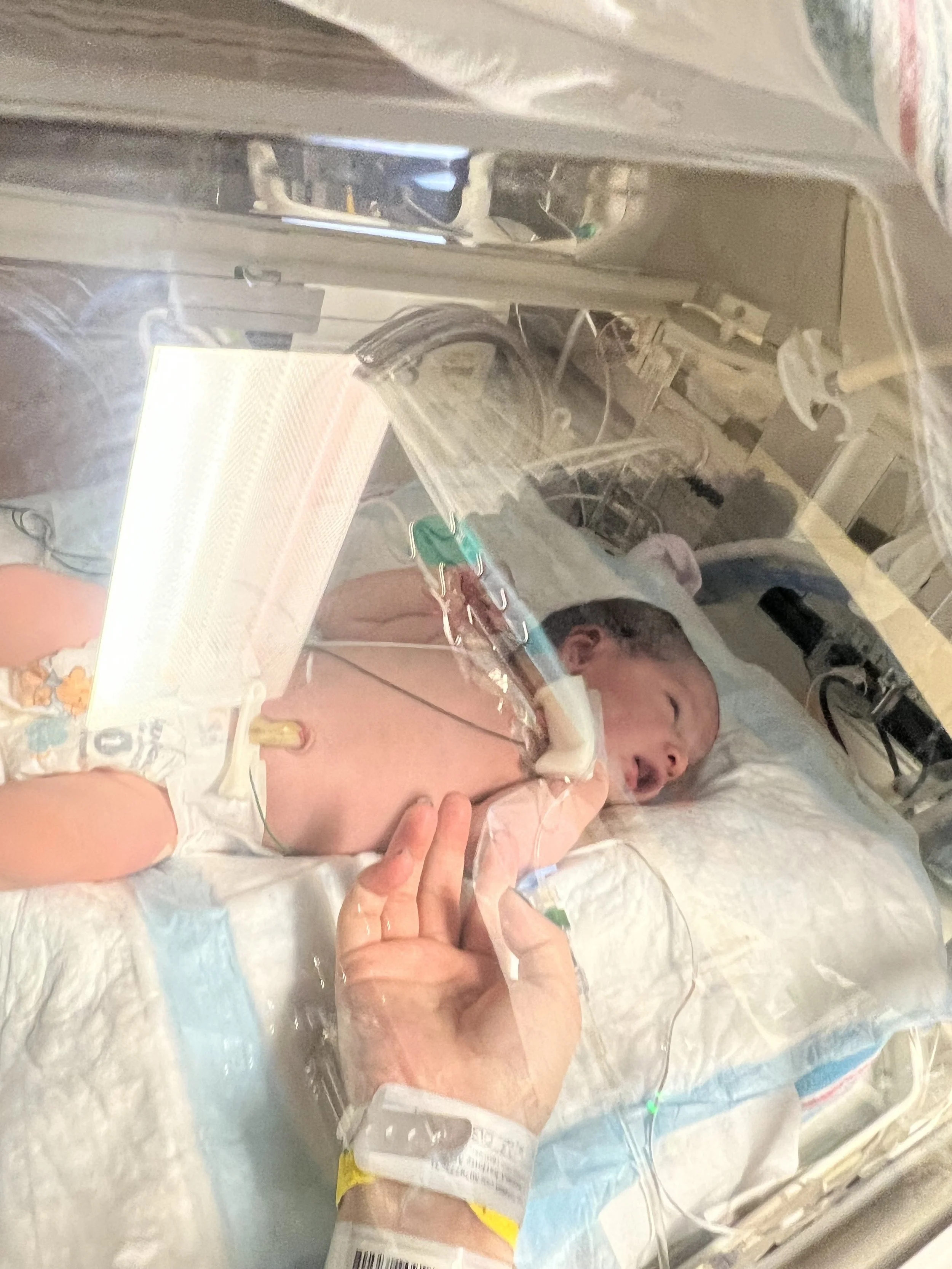 Love, Charlotte — Dear NICU Mama