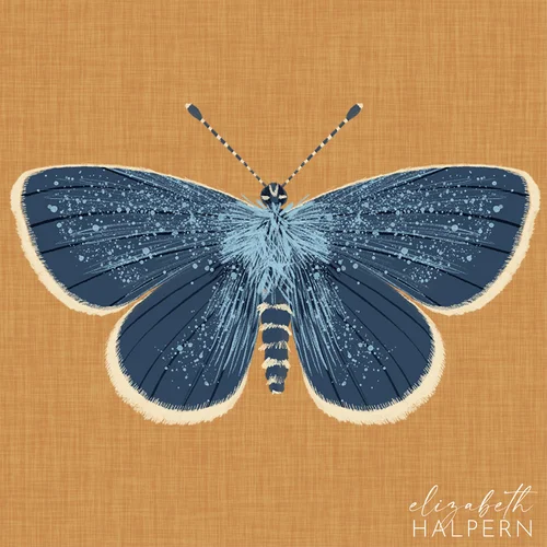 textile prints and surface patterns portfolio of Elizabeth Halpern ...
