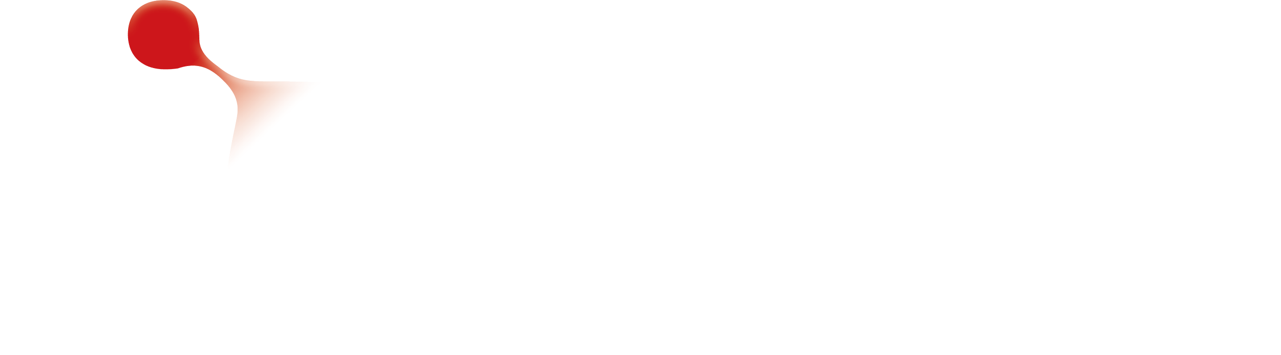 Our Technology — Liquium