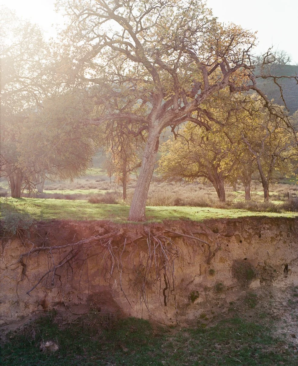 Rift Zone — Ian Tuttle - Photographer