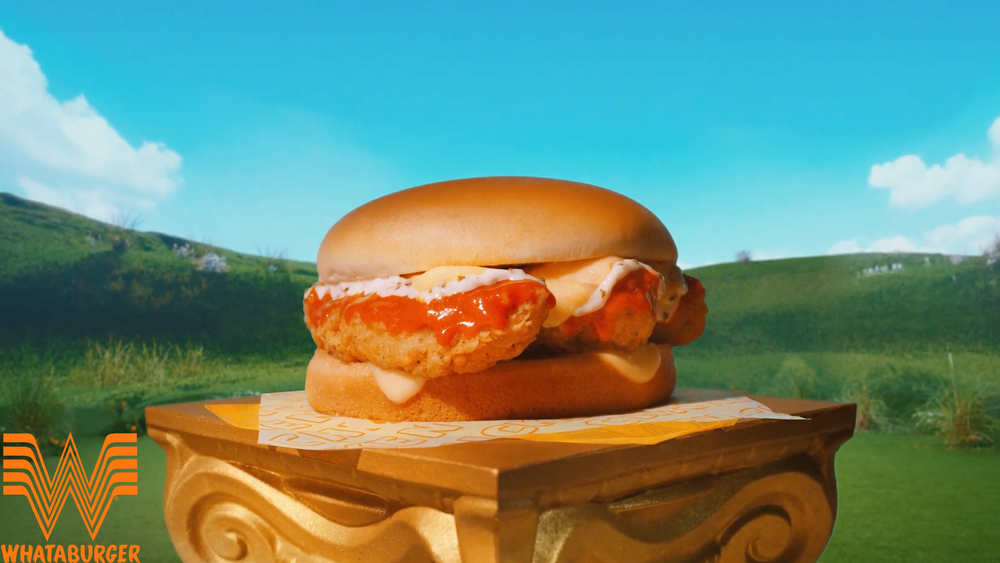 Portfolio — STRAY VISTA STUDIOS