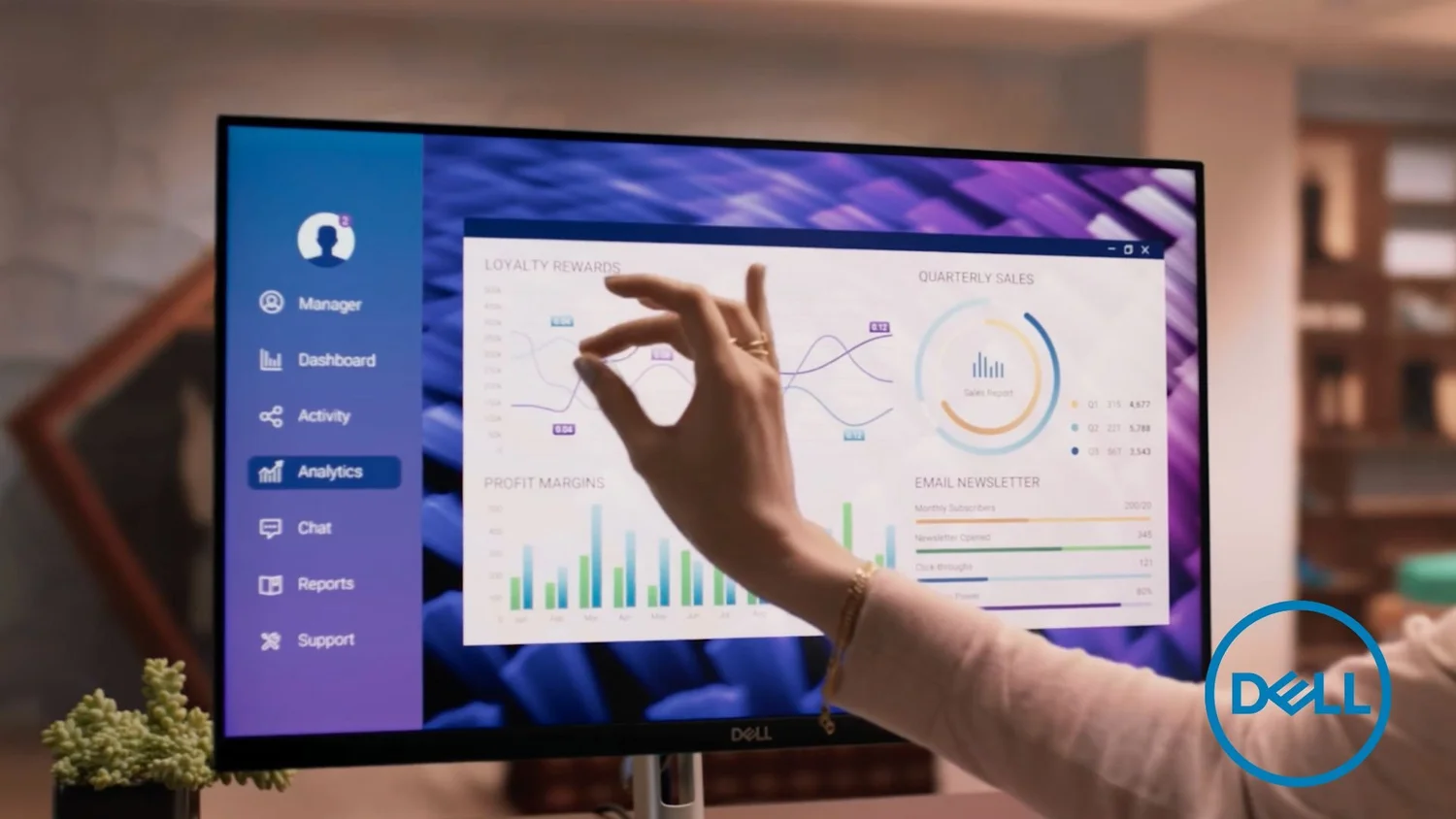 Portfolio — STRAY VISTA STUDIOS