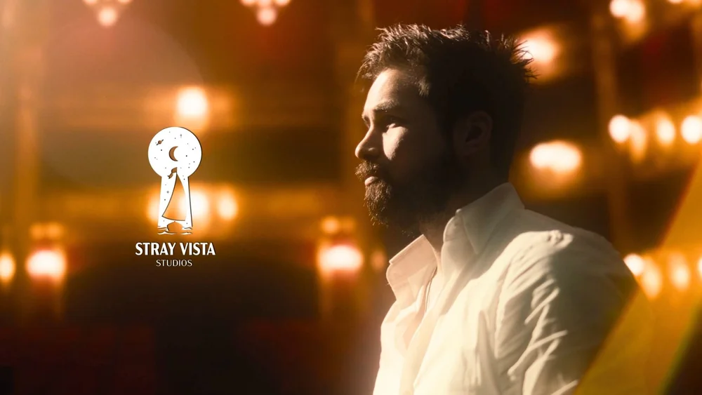 Portfolio — STRAY VISTA STUDIOS