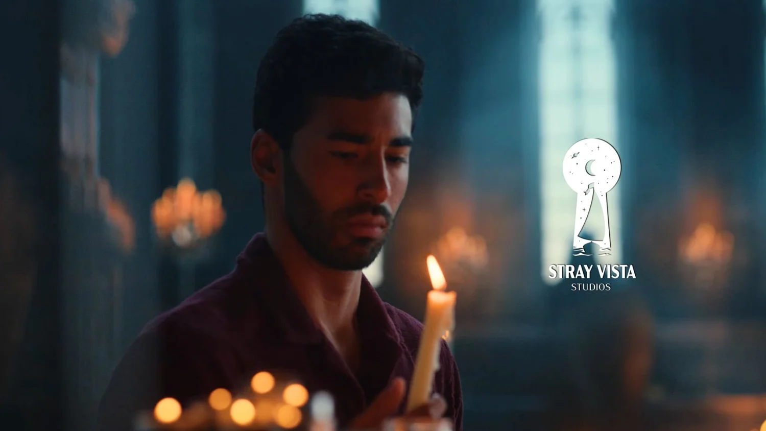 Portfolio — STRAY VISTA STUDIOS