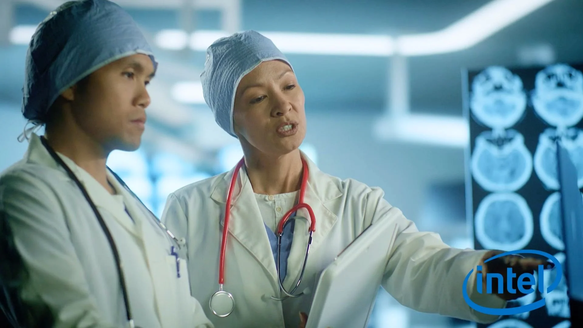 Portfolio — STRAY VISTA STUDIOS