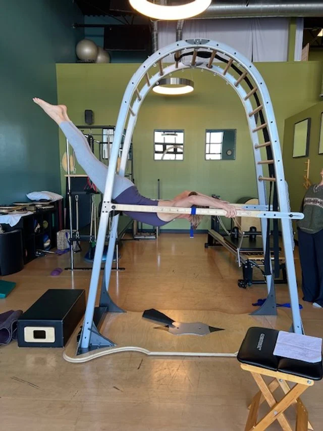 Contact Julie — Movement Collective