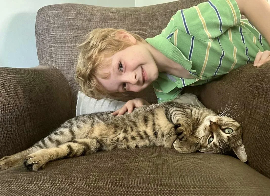 Contact 2 — Community Cat Pawsibilities of Hamilton